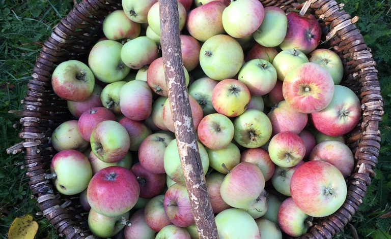 PSYPLAN Institut für Architektur- und Umweltpsychologie - Start